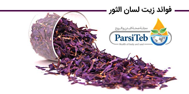 فوائد زيت لسان الثور المقدم فی طب البدیل و طب الاعشاب