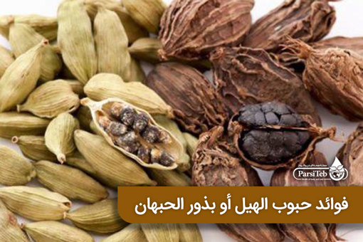 فوائد حبوب الهيل أو الهال (بذور الحبهان) العلاجية - بارسی طب
